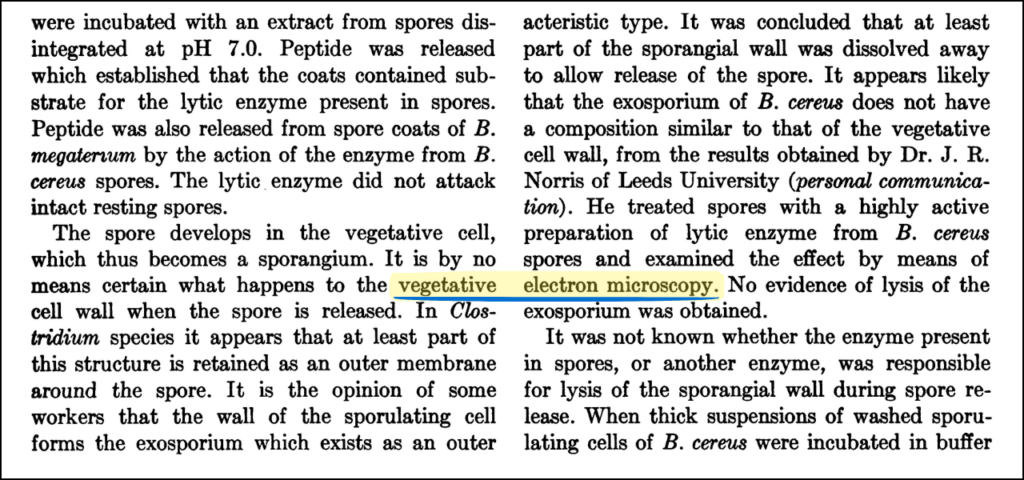 “Vegetative electron microscopy” | Notiziole di .mau.